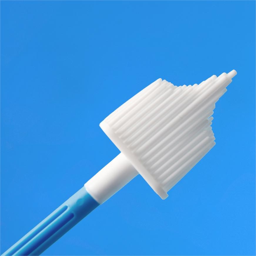 Gynecological Cervical Brush HPV Test Kit Vaginal Swab HPV Self Test ...